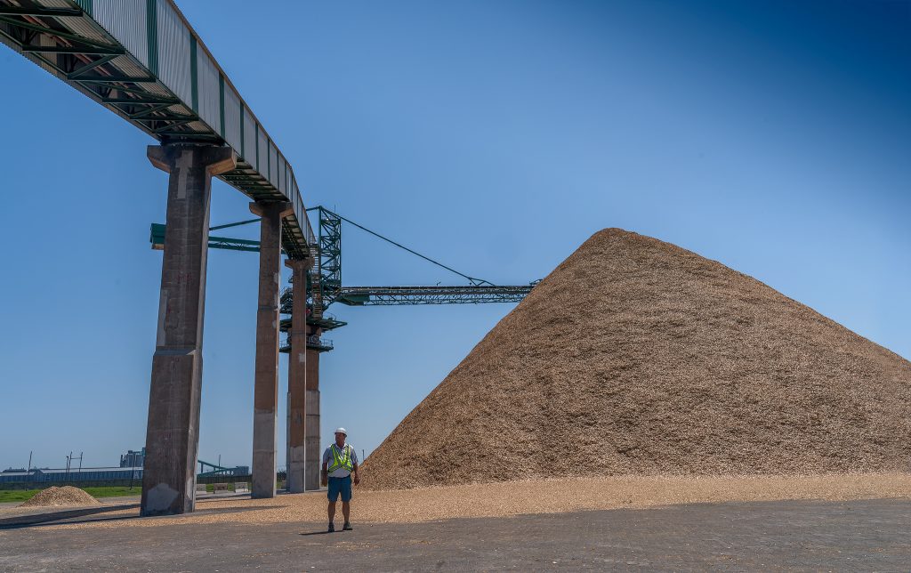 One Year of Progress: Rebuilding NCT Forestry’s Richards Bay Mill After ...